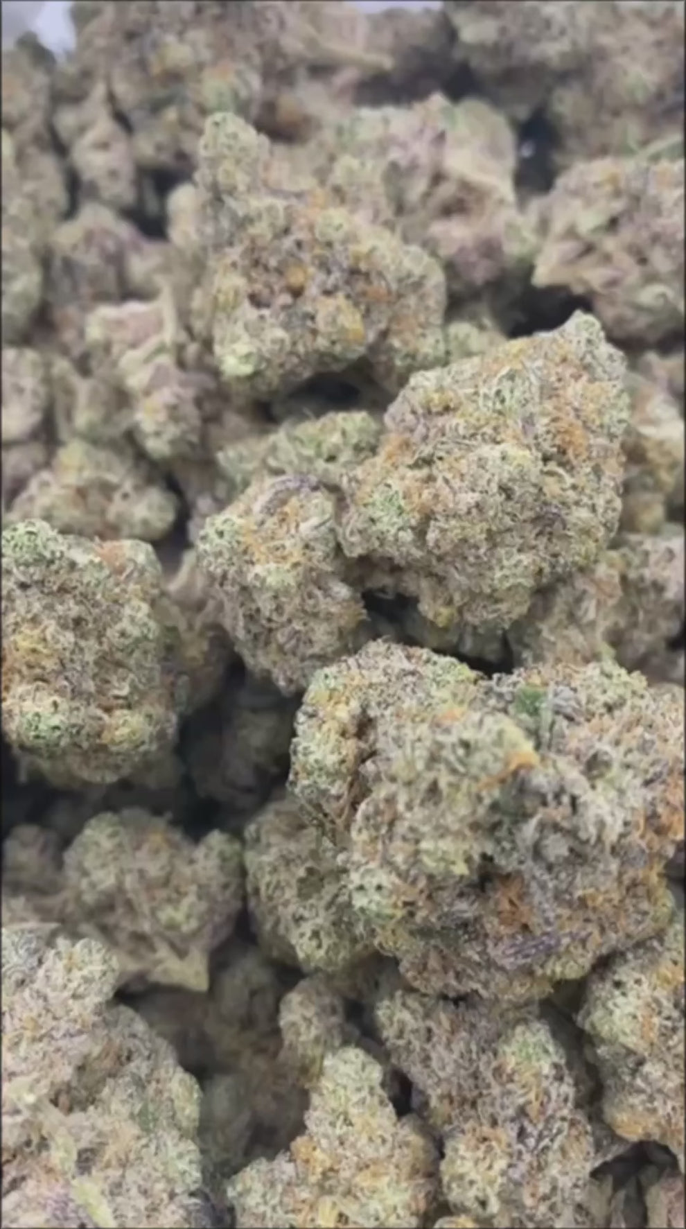 Exotic Hawaiian Diesel indoor 28.8% THC